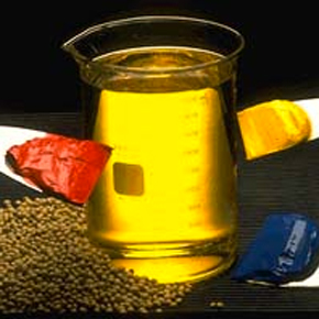 NH Poster Printing: How Soy-Based Ink Is Made and Why It Must Be Used